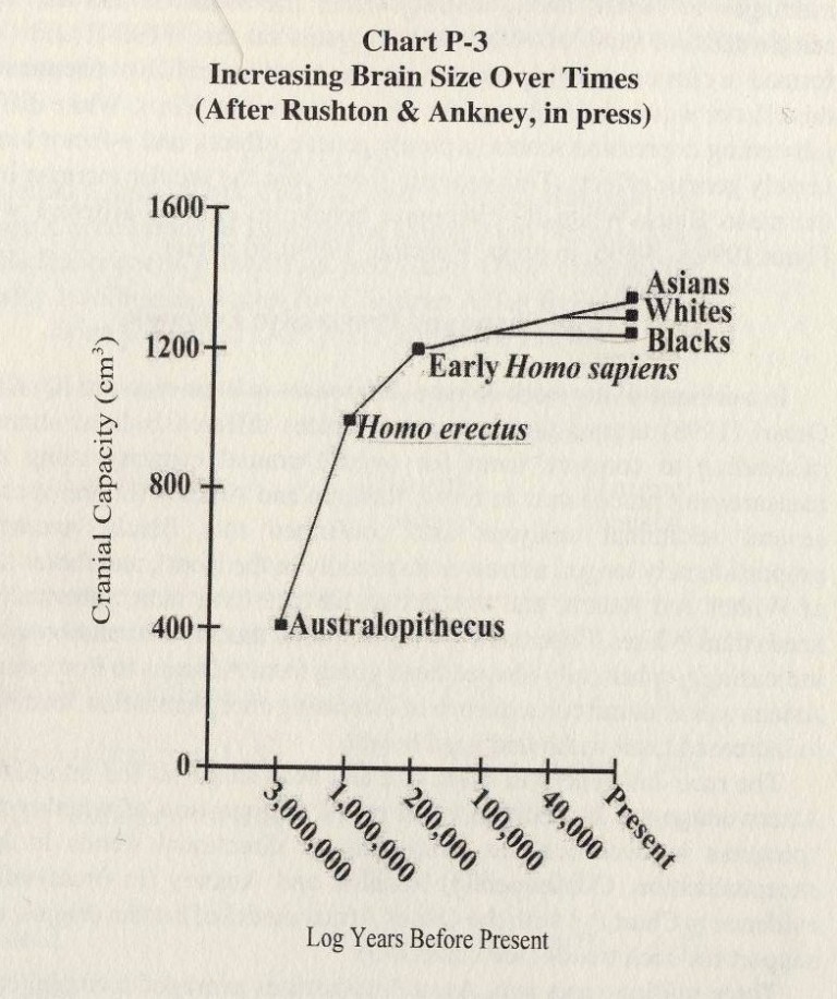 Intelligence is Highly Genetic - IQ and Human Intelligence