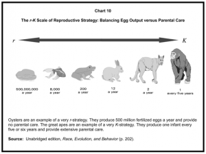 Rushton Comparative Perspective - IQ and Human Intelligence